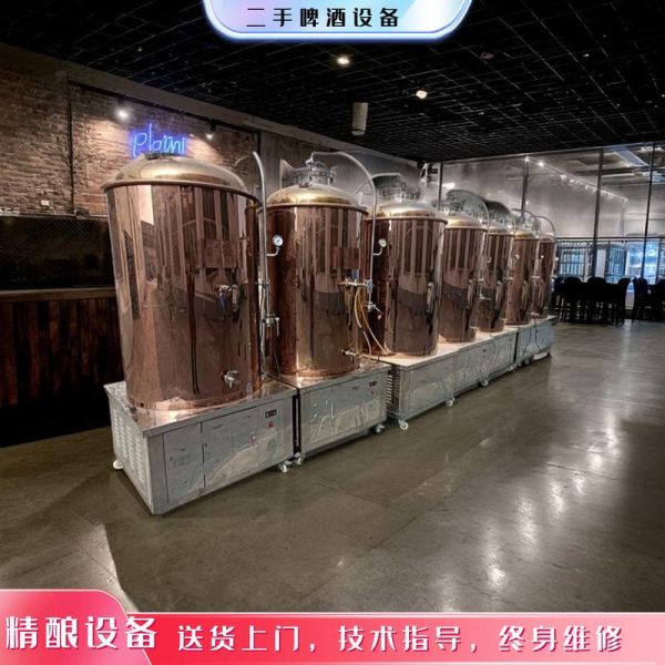 自酿啤酒设备哪个厂家好_家用小型啤酒机怎么选-第2张图片-山城妙识