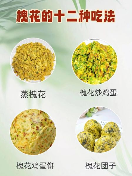 晒的干槐花怎么吃_干槐花做法大全-第2张图片-山城妙识