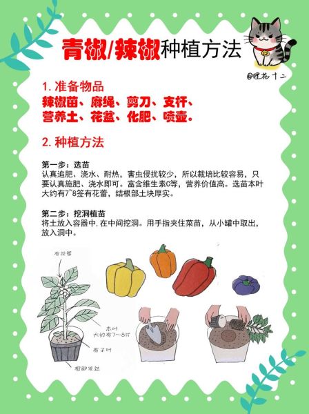 辣椒种子怎么种_辣椒种子发芽时间-第1张图片-山城妙识