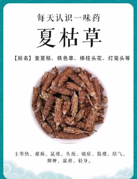 夏枯草泡水喝的功效与作用_夏枯草泡水喝的禁忌有哪些-第2张图片-山城妙识