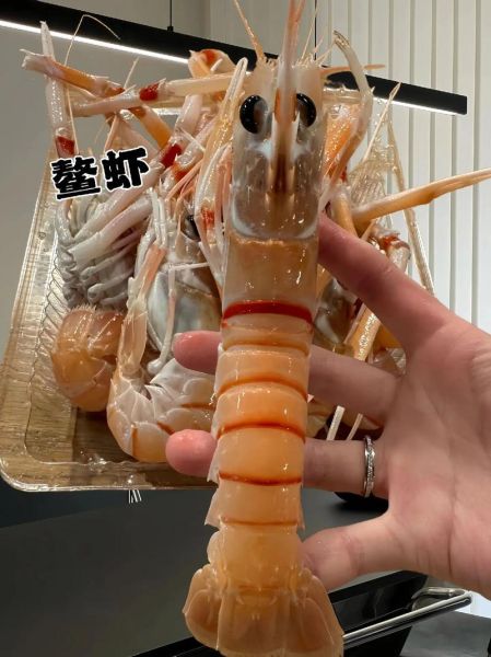 鳌虾怎么养_鳌虾养殖注意事项-第3张图片-山城妙识 鳌虾怎么养_鳌虾养殖注意事项-第3张图片-山城妙识