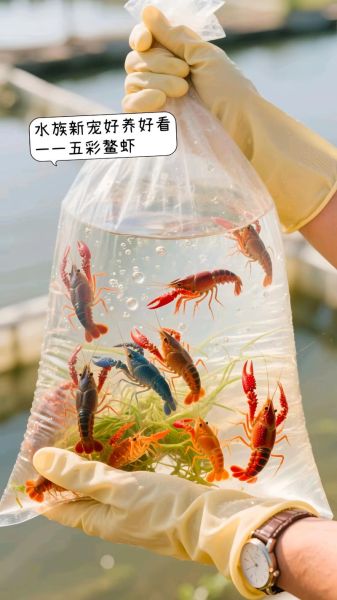 鳌虾怎么养_鳌虾养殖注意事项-第2张图片-山城妙识 鳌虾怎么养_鳌虾养殖注意事项-第2张图片-山城妙识