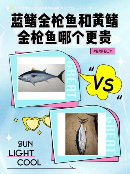 最贵的鱼多少钱一条_为什么蓝鳍金枪鱼这么贵-第1张图片-山城妙识