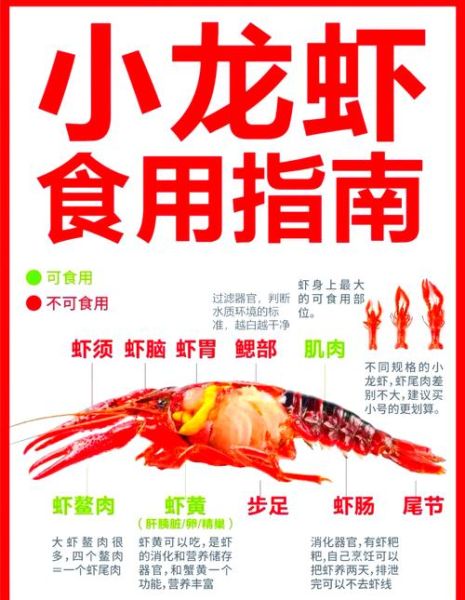 龙虾怎么处理干净_龙虾清洗步骤-第2张图片-山城妙识 龙虾怎么处理干净_龙虾清洗步骤-第2张图片-山城妙识