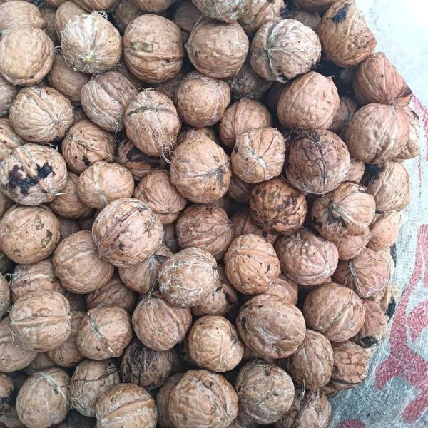 鲜核桃怎么保存_鲜核桃营养价值高吗-第2张图片-山城妙识