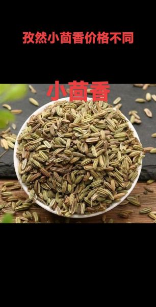 小茴香粉怎么吃最好_小茴香粉的正确用法-第2张图片-山城妙识