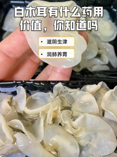 白木耳的功效与作用及副作用_什么人不能吃-第2张图片-山城妙识 白木耳的功效与作用及副作用_什么人不能吃-第2张图片-山城妙识