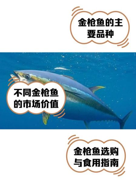 金枪鱼多少钱一斤2019_2019年金枪鱼价格走势-第2张图片-山城妙识