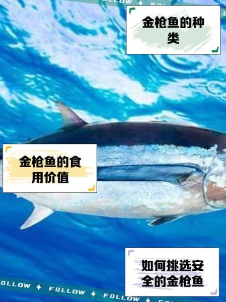 金枪鱼多少钱一斤2019_2019年金枪鱼价格走势-第1张图片-山城妙识