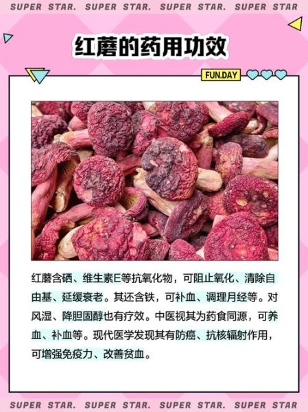 红蘑菇的营养价值_红蘑菇的功效与作用-第1张图片-山城妙识