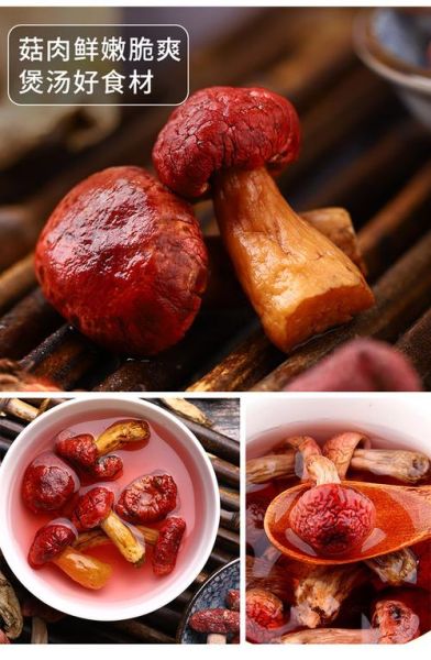 红蘑菇的营养价值_红蘑菇的功效与作用-第2张图片-山城妙识