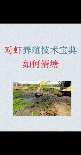 中国对虾养殖技术_如何提高成活率-第1张图片-山城妙识