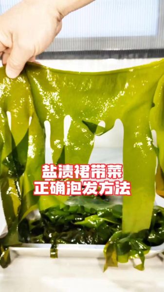 裙带菜需要焯水再食用吗_裙带菜焯水多久才安全-第1张图片-山城妙识