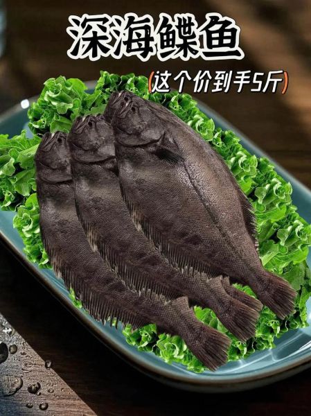 鲽鱼和鸦片鱼的区别_鸦片鱼是鲽鱼吗-第2张图片-山城妙识