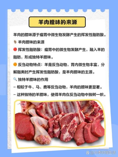羊肉调料配方大全_如何去除膻味-第1张图片-山城妙识