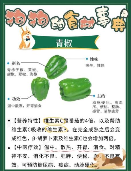 青椒的营养价值_青椒的功效与作用-第1张图片-山城妙识 青椒的营养价值_青椒的功效与作用-第1张图片-山城妙识