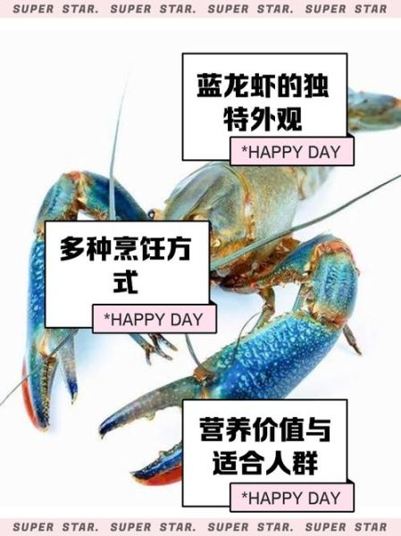 澳洲蓝龙虾养殖方法_如何养好澳洲蓝龙虾-第1张图片-山城妙识