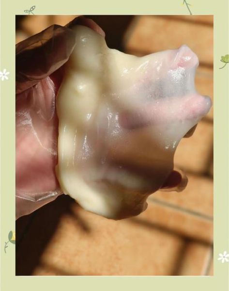 麻薯怎么保存不会硬_麻薯可以放几天-第1张图片-山城妙识 麻薯怎么保存不会硬_麻薯可以放几天-第1张图片-山城妙识