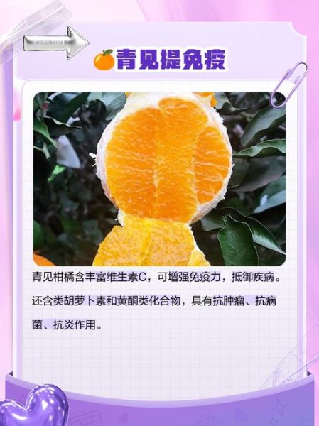 青橘子的功效与作用_青橘子能减肥吗-第3张图片-山城妙识 青橘子的功效与作用_青橘子能减肥吗-第3张图片-山城妙识