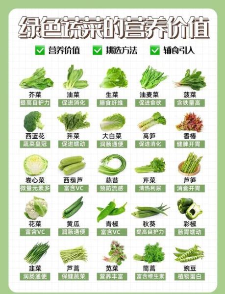 常见蔬菜分类有哪些_如何按营养选蔬菜-第1张图片-山城妙识 常见蔬菜分类有哪些_如何按营养选蔬菜-第1张图片-山城妙识