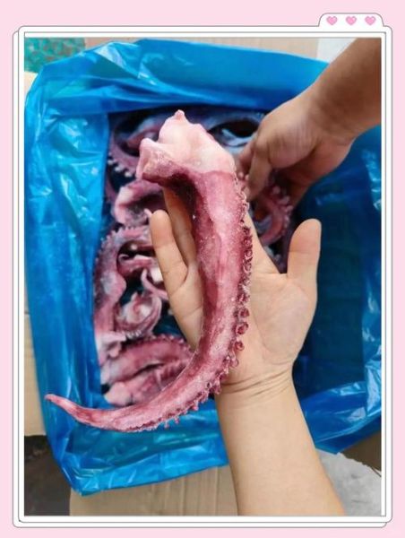 冰冻大章鱼腿怎么做好吃_冰冻章鱼腿焯水多久-第3张图片-山城妙识 冰冻大章鱼腿怎么做好吃_冰冻章鱼腿焯水多久-第3张图片-山城妙识