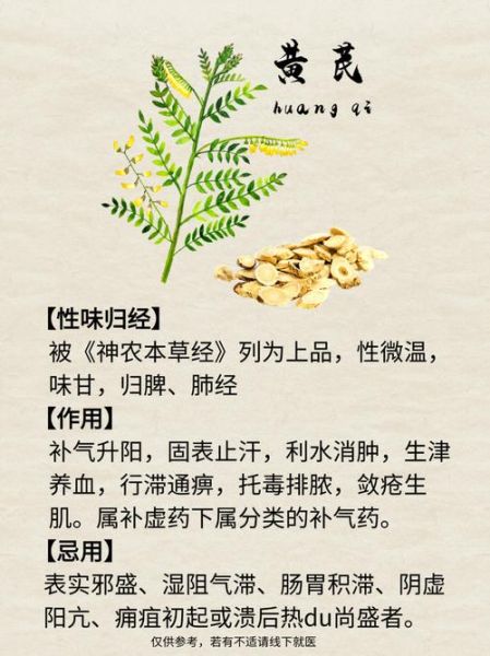 经常喝黄芪水有害处吗_黄芪水副作用-第1张图片-山城妙识 经常喝黄芪水有害处吗_黄芪水副作用-第1张图片-山城妙识
