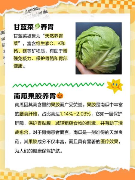 吃什么蔬菜养胃又补胃_胃不好吃什么蔬菜好-第2张图片-山城妙识