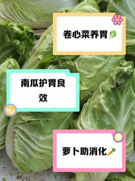 吃什么蔬菜养胃又补胃_胃不好吃什么蔬菜好-第3张图片-山城妙识