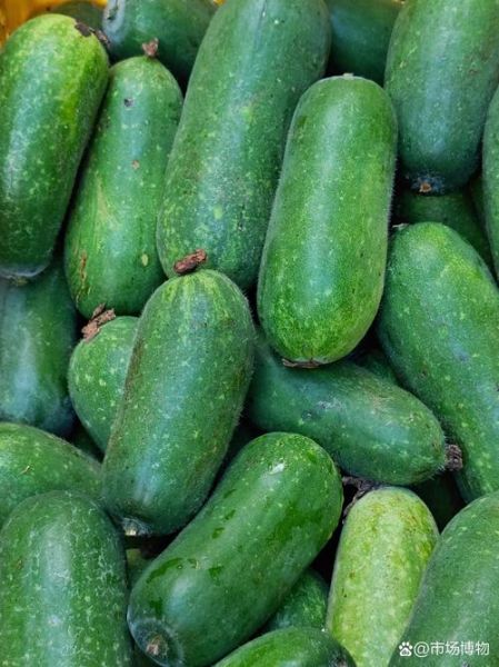 节瓜是什么_节瓜图片长什么样-第2张图片-山城妙识 节瓜是什么_节瓜图片长什么样-第2张图片-山城妙识