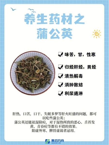 蒲公英茶的功效与作用是什么_蒲公英茶可以天天喝吗-第1张图片-山城妙识
