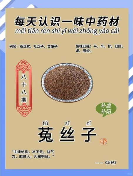 女贞子配菟丝子的功效与作用_女贞子菟丝子能长期吃吗-第3张图片-山城妙识 女贞子配菟丝子的功效与作用_女贞子菟丝子能长期吃吗-第3张图片-山城妙识