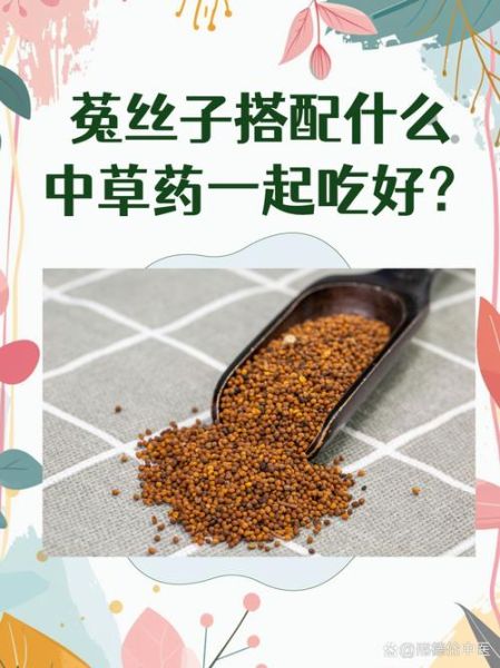 女贞子配菟丝子的功效与作用_女贞子菟丝子能长期吃吗-第1张图片-山城妙识 女贞子配菟丝子的功效与作用_女贞子菟丝子能长期吃吗-第1张图片-山城妙识