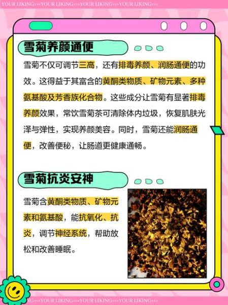 雪菊的功效与作用_雪菊能降血压吗-第1张图片-山城妙识 雪菊的功效与作用_雪菊能降血压吗-第1张图片-山城妙识