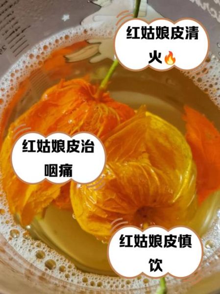 红姑娘皮的功效与作用_红姑娘皮泡水喝的禁忌-第1张图片-山城妙识 红姑娘皮的功效与作用_红姑娘皮泡水喝的禁忌-第1张图片-山城妙识