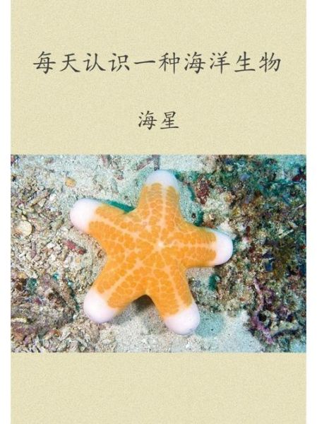 海星吃里面黑的还是黄的_海星哪些部位不能吃-第2张图片-山城妙识 海星吃里面黑的还是黄的_海星哪些部位不能吃-第2张图片-山城妙识