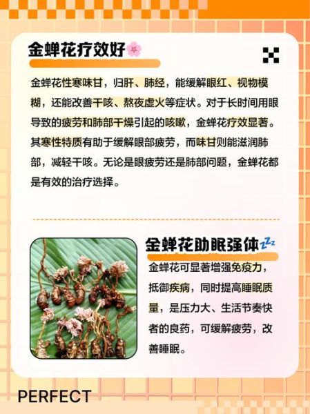 金蝉花有什么功效_金蝉花主治哪些病-第1张图片-山城妙识