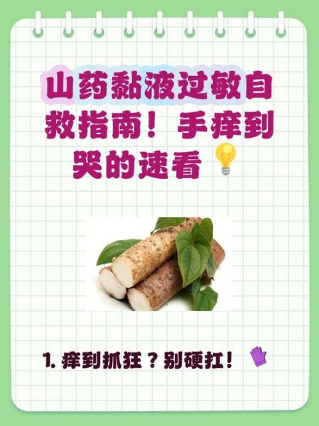 削山药手痒怎么办_山药黏液过敏止痒方法-第2张图片-山城妙识 削山药手痒怎么办_山药黏液过敏止痒方法-第2张图片-山城妙识