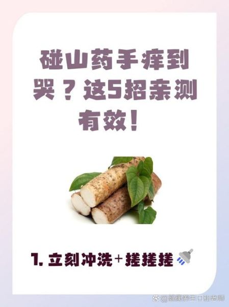 削山药手痒怎么办_山药黏液过敏止痒方法-第3张图片-山城妙识 削山药手痒怎么办_山药黏液过敏止痒方法-第3张图片-山城妙识