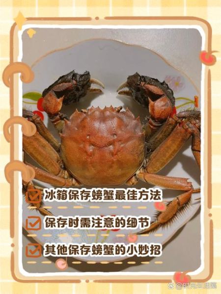 鲜螃蟹怎么保存_活螃蟹能放冰箱吗-第2张图片-山城妙识 鲜螃蟹怎么保存_活螃蟹能放冰箱吗-第2张图片-山城妙识