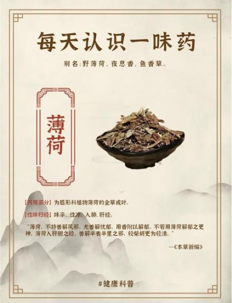薄荷叶怎么吃_薄荷叶的禁忌有哪些-第2张图片-山城妙识