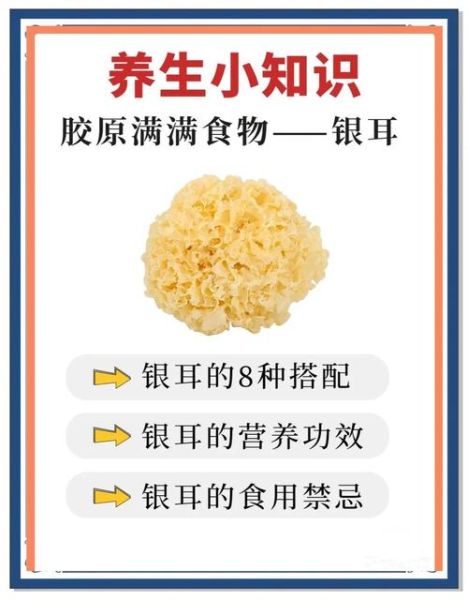 银耳的功效与禁忌是什么_哪些人不能吃银耳-第2张图片-山城妙识