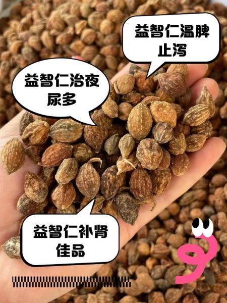 益智仁泡水用几粒_益智仁泡水一次放多少-第1张图片-山城妙识 益智仁泡水用几粒_益智仁泡水一次放多少-第1张图片-山城妙识