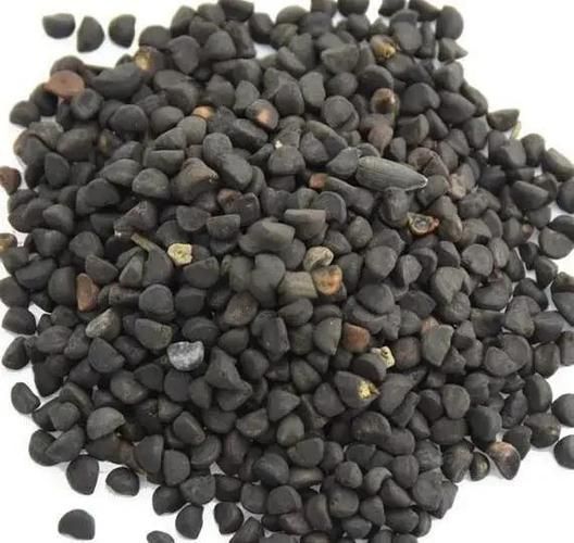 牵牛子有毒吗_牵牛子中毒症状-第3张图片-山城妙识 牵牛子有毒吗_牵牛子中毒症状-第3张图片-山城妙识