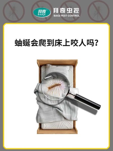 蚰蜒有毒吗_家里出现蚰蜒怎么办-第2张图片-山城妙识 蚰蜒有毒吗_家里出现蚰蜒怎么办-第2张图片-山城妙识