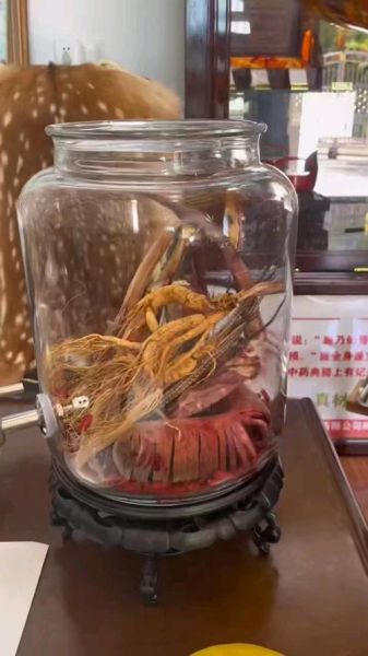 10斤酒放多少鹿茸_鹿茸泡酒比例是多少-第1张图片-山城妙识