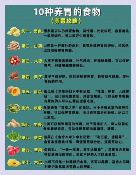最养胃的食物有哪些_十大排行榜-第3张图片-山城妙识