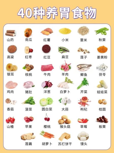 最养胃的食物有哪些_十大排行榜-第2张图片-山城妙识