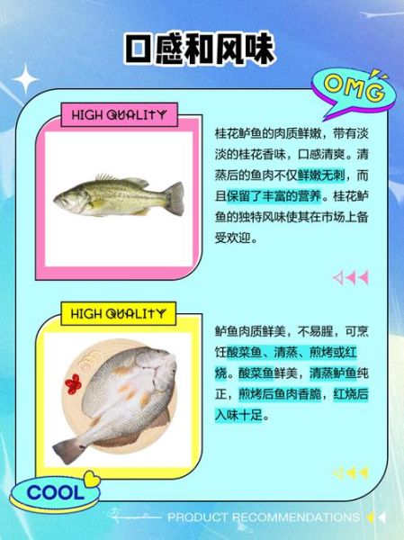 鲈鱼好还是桂鱼好吃_哪个更鲜美-第1张图片-山城妙识