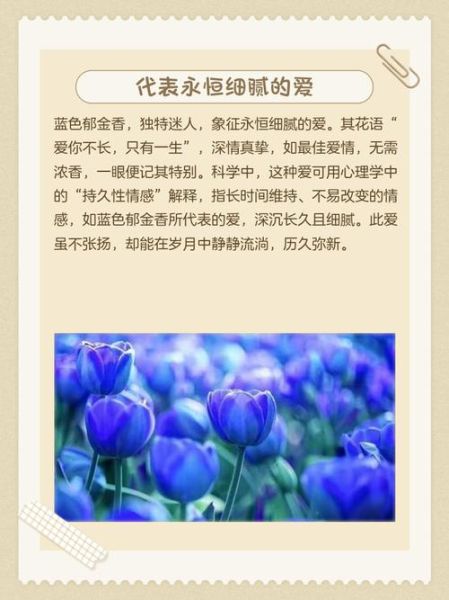 郁金香花语是什么_不同颜色寓意大全-第2张图片-山城妙识 郁金香花语是什么_不同颜色寓意大全-第2张图片-山城妙识