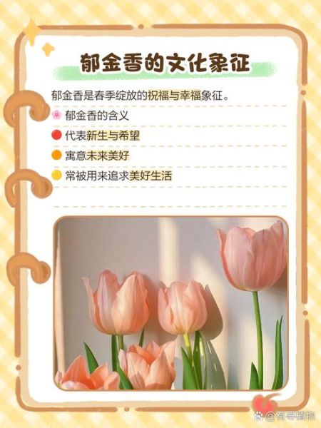郁金香花语是什么_不同颜色寓意大全-第3张图片-山城妙识 郁金香花语是什么_不同颜色寓意大全-第3张图片-山城妙识